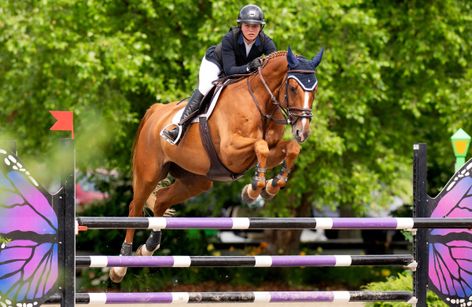 Haribo des Flagues profile (Stallion) with 12 videos – *2017