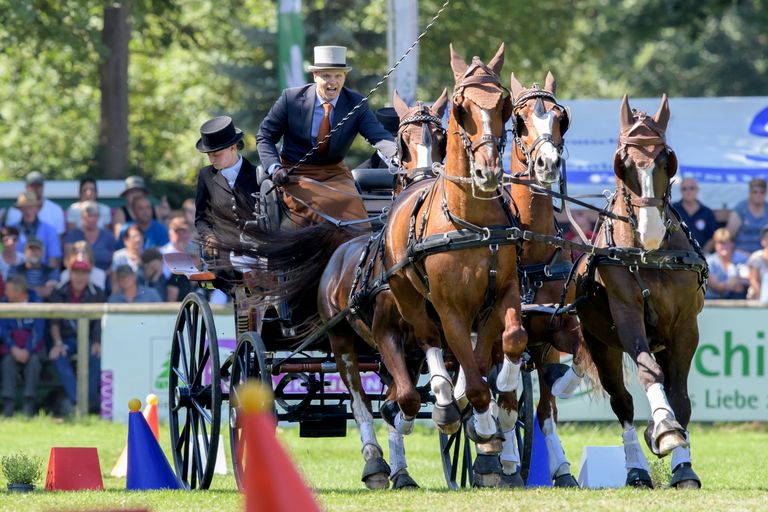 Live Stream - FEI Driving European Championship Four in Hand / FEI Para ...