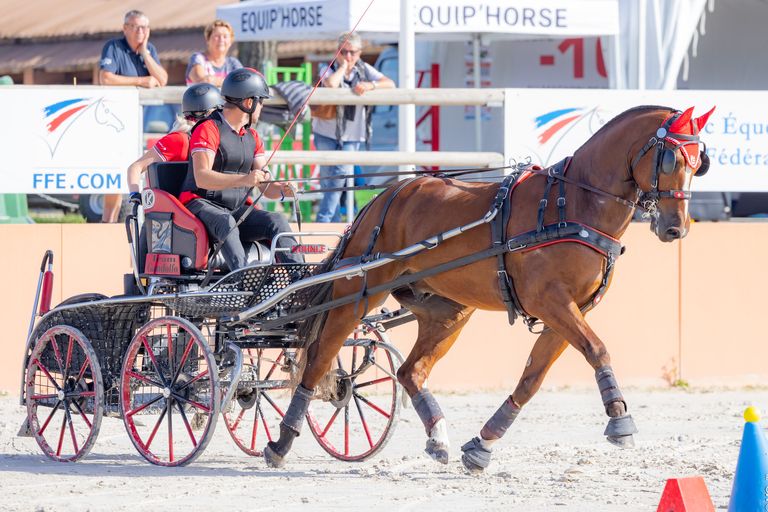 Live Stream - FEI Driving World Championships for Young Horses - 2024 ...