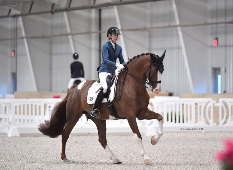 Live Stream - WEC August Dressage presented by Hampton Green Farms ...