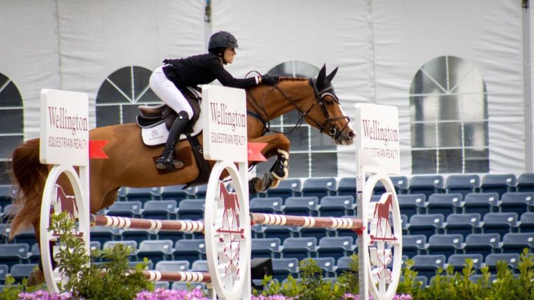 Live Stream - WEF Week 2 - 2026 | Videos, Live Streams, Films and Shows ...