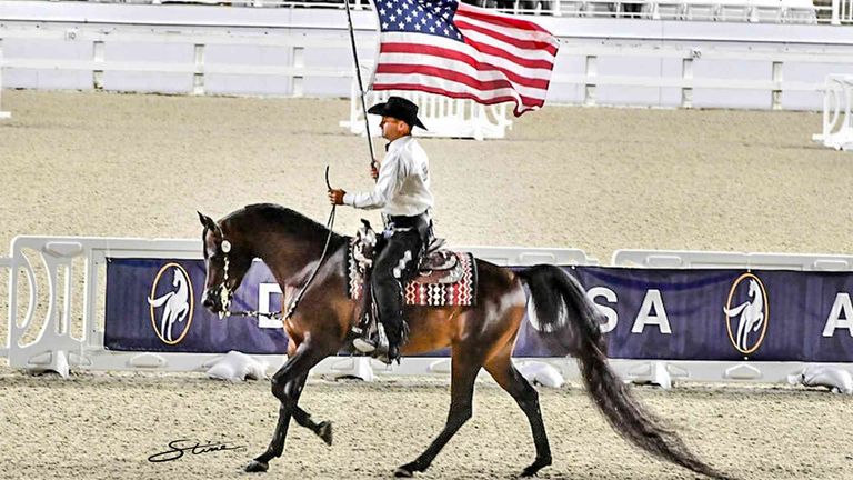 Live Stream - 56th Annual Holiday Festival Arabian & Half Arabian Show ...