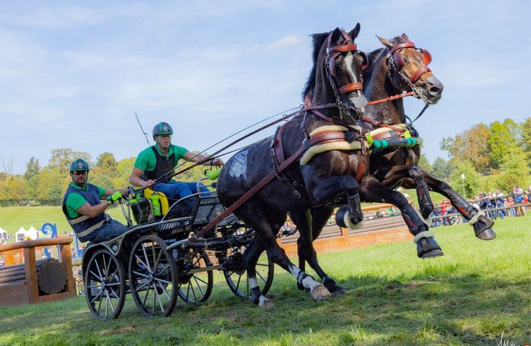 Marathon I FEI Driving World Championship for Pairs - FEI Driving World ...