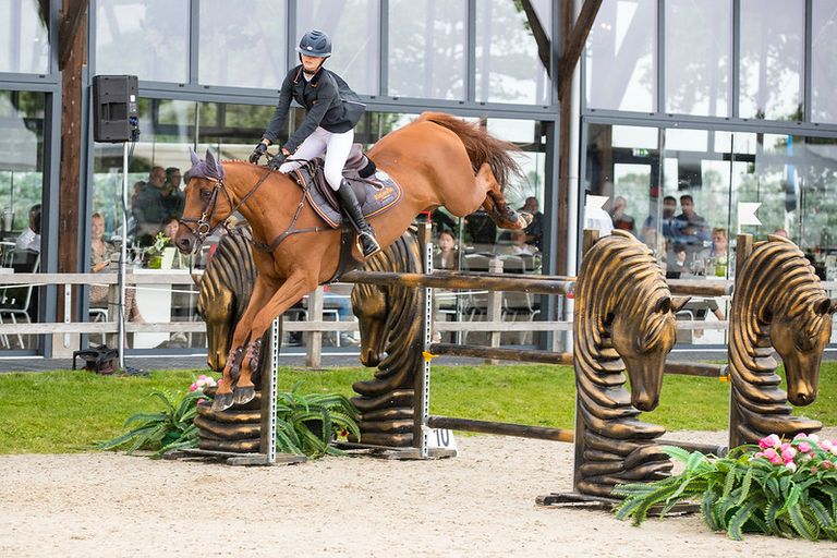 Live Stream - FEI Jumping Nations Cup™ Youth 2026 Zuidwolde - 2026 ...