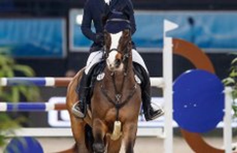 Equithème Leading Pony Showjumper of the Year Qualifier - Pony Premier ...