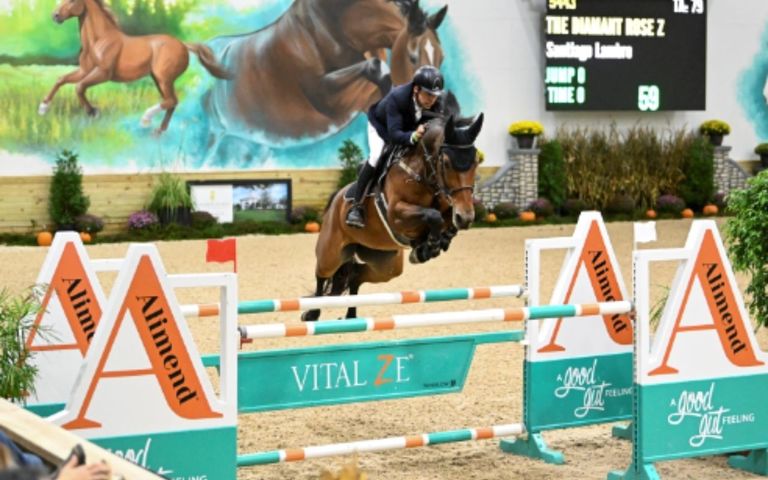 Live Stream - WEC OHIO Winter Classic #2 USEF Premier - 2022 | Videos ...