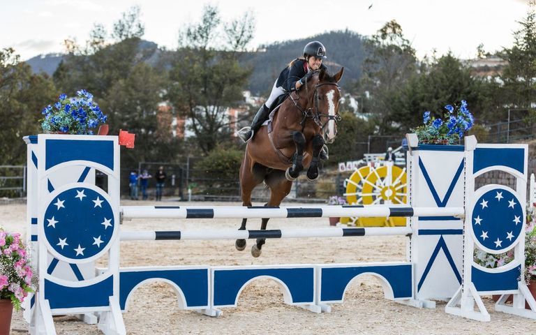 Live Stream - FEI Jumping World Challenge Final 2023 - 2023 | Videos ...