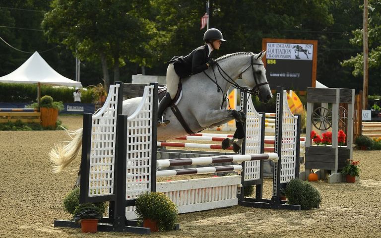 USHJA 3'3 HUNTER SEAT MEDAL FINALS - The 48th Anniversary of the New ...