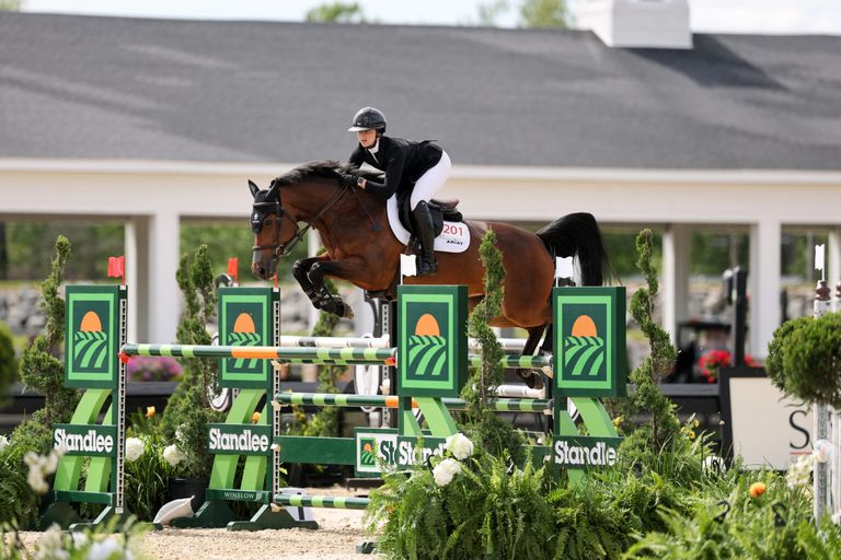 Live Stream - WEC Ohio Spring II - 2025 | Videos, Live Streams, Films ...