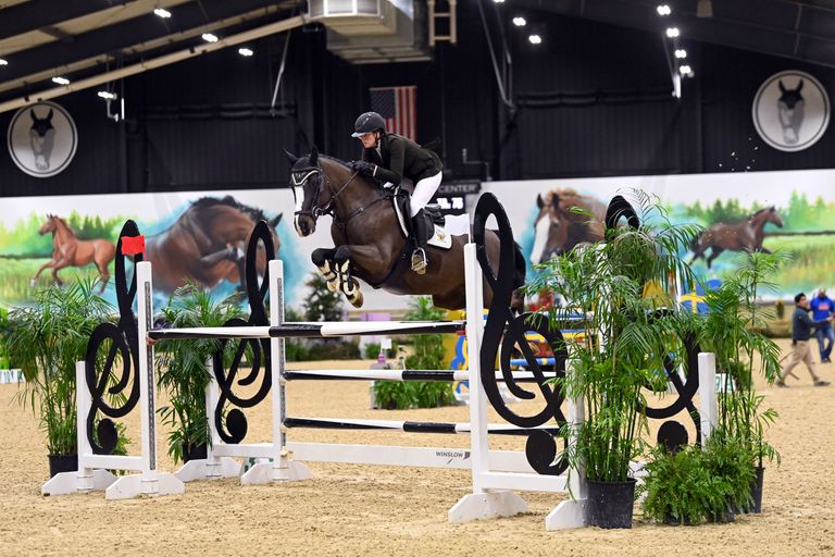 489)406)409) Take2 Thoroughbred Jumper II.2b 1.00m/Junior Jumper 1.00m ...