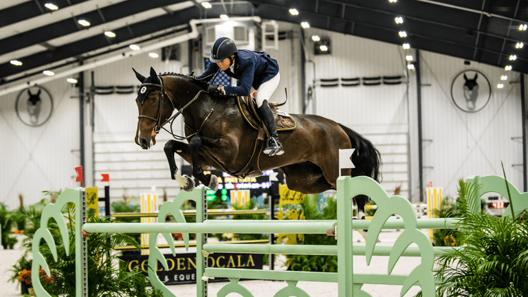 $300 Amateur Owner Hunter 3'3" (1st Rnd Classic) - WEC Winter Classic ...