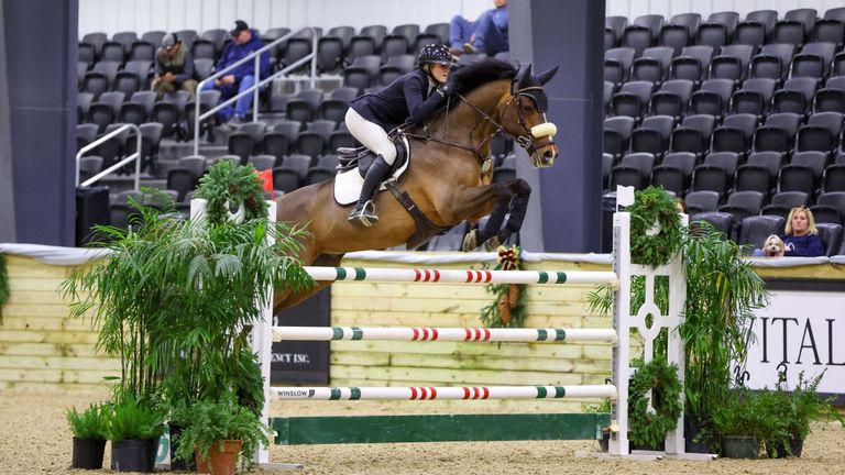 (269)Modified Equitation 2'9"/Modified Children's/Adult Hunter 2'9 ...