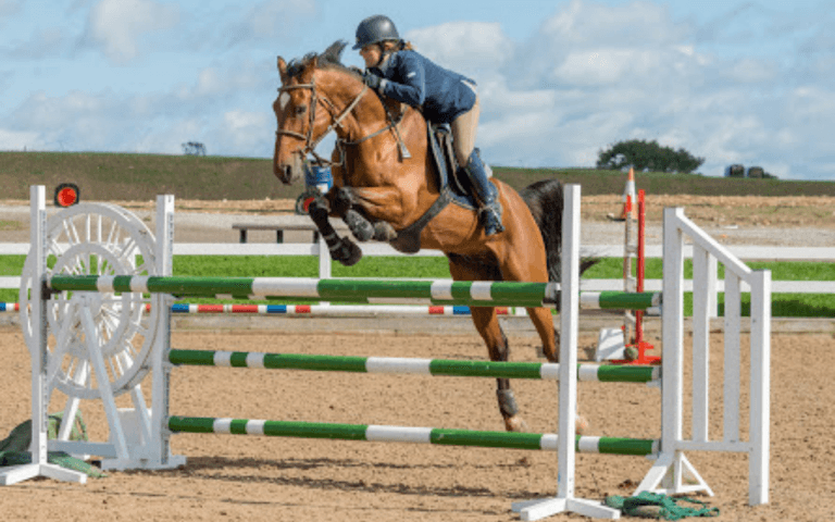Live Stream - Chard Equestrian - British Showjumping Senior 3 Day Show ...