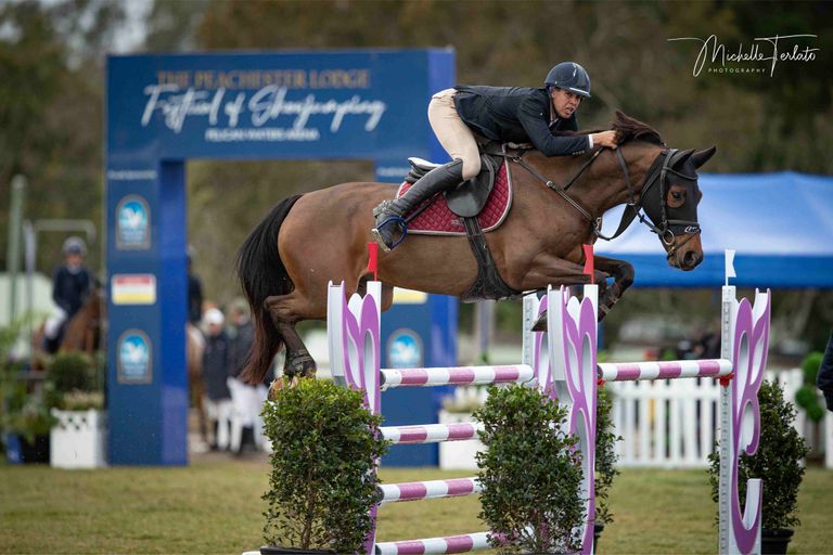 Live Stream - Festival of Showjumping - 2026 | Videos, Live Streams ...