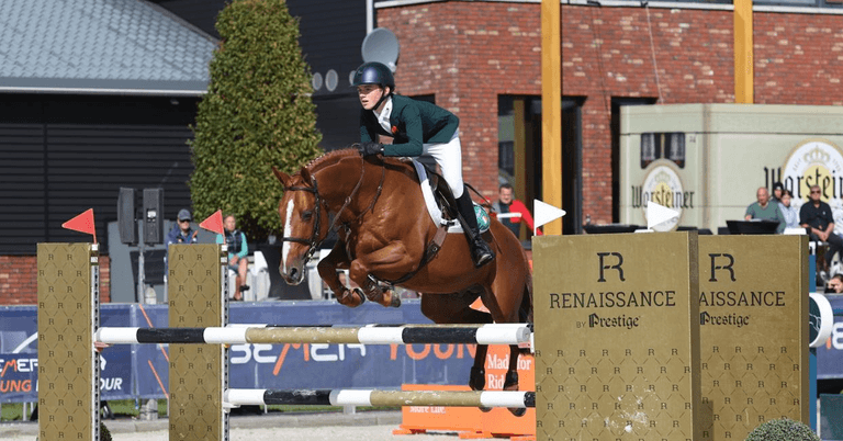 Live Stream - Irish Sport Horse Studbook Stallion Inspection 2024 ...