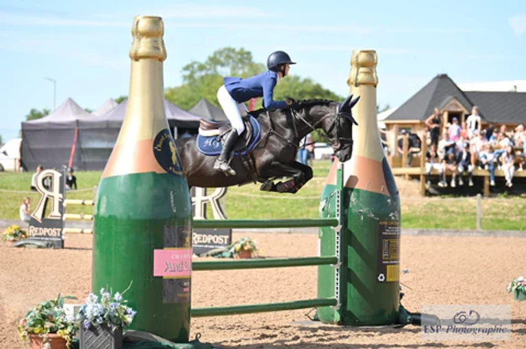 Live Stream - Chard - Summer Pony Premier - 2026 | Videos, Live Streams ...