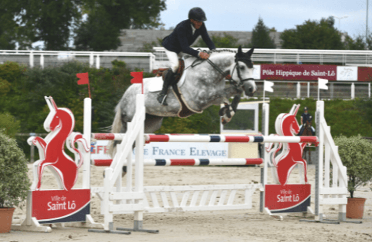 Live Stream - Jumping Pro-Am - Saint Lô - 2022 | Videos, Live Streams ...