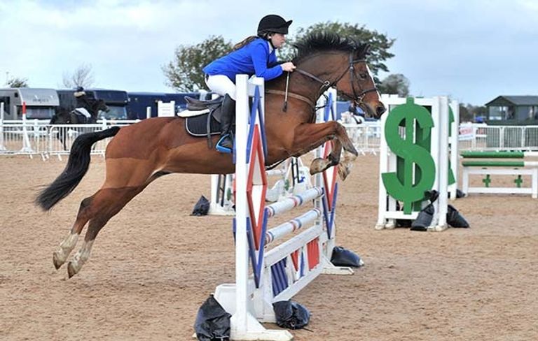 Live Stream - Arena UK - Summer Pony Premier - 2026 | Videos, Live ...