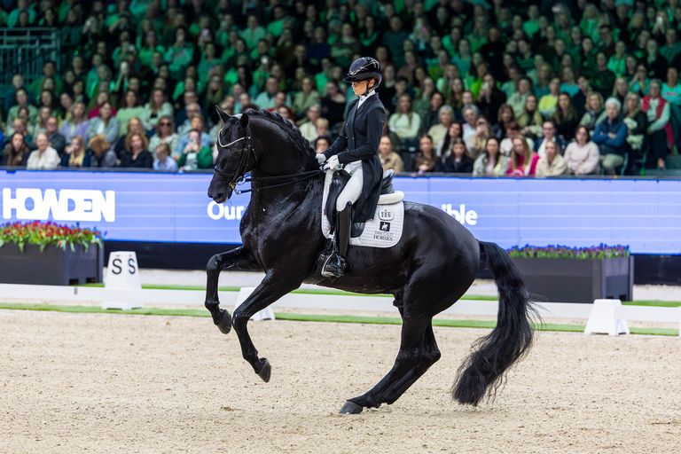 Live Stream - The Dutch Masters - FEI Dressage World Cup™ 2025-2026 I ...