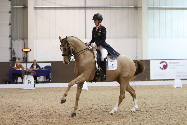 Live Stream - Addington Equestrian Centre - British Dressage Show ...