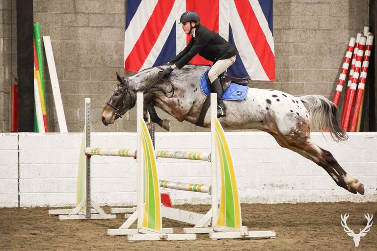 National 1.30m Open - Morris Equestrian - Senior British Showjumping 3 ...