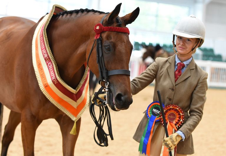 Ridden Show Hunter/Show Pony Lead Rein & First Ridden - Aintree ...