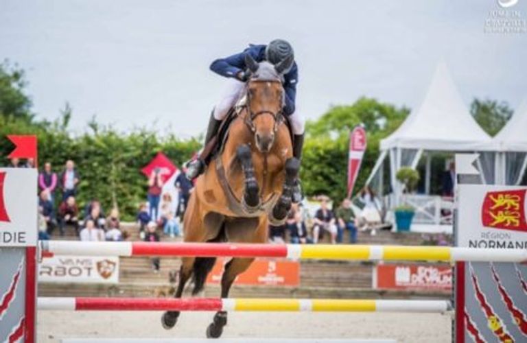 Live Stream - Grand National CSO - Deauville - 2024 | Videos, Live ...