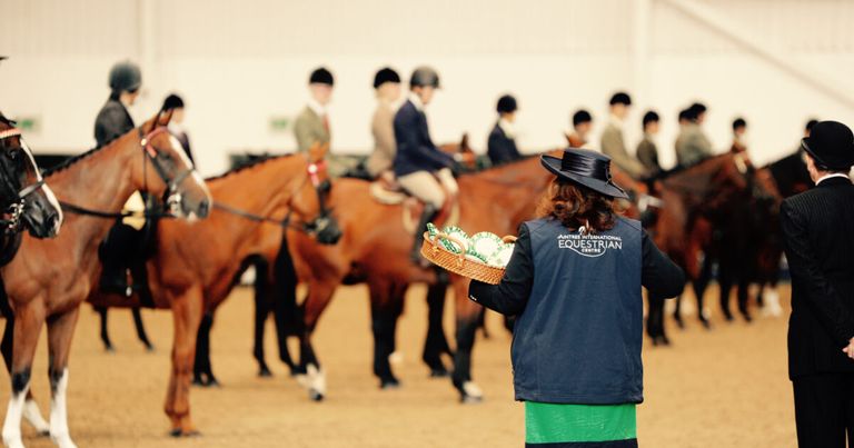 Live Stream - Aintree - RoR & International Side Saddle Joint Show ...