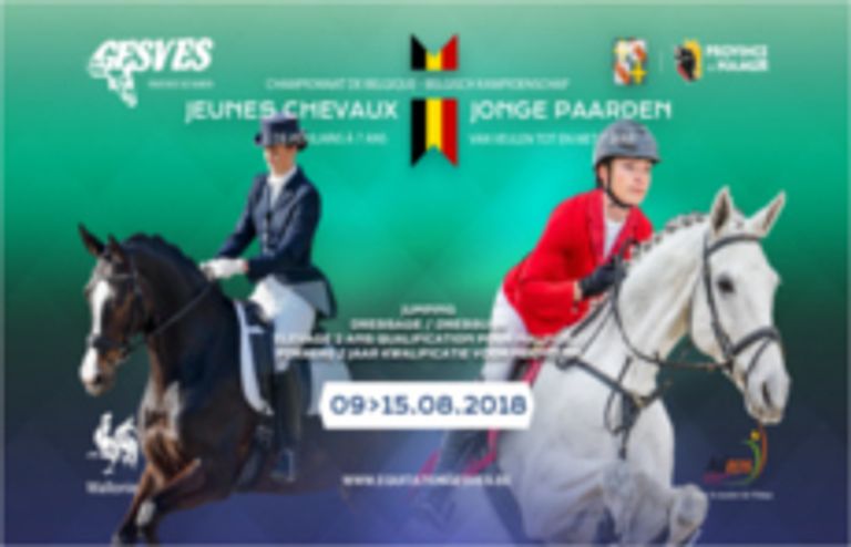 1st round Belgian championships 4yo dressage horses - Championnat de ...