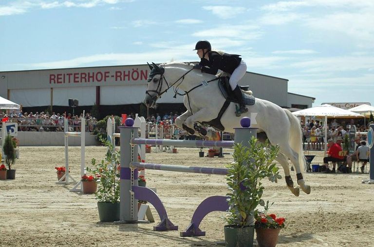 Springprf. Kl.S*** m.Siegerrunde 150cm - Springturnier Detter - 2025 ...