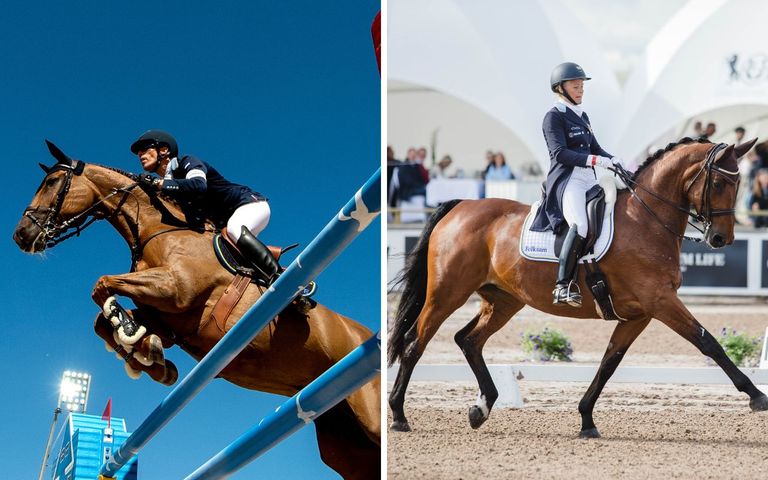 Live Stream - FEI World Cup™ Jumping-Dressage 2022-2023 I WEL ...