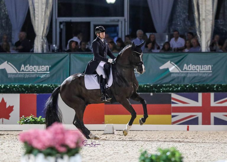 Live Stream - Adequan Global Dressage Festival 12 - 2025 | Videos, Live ...