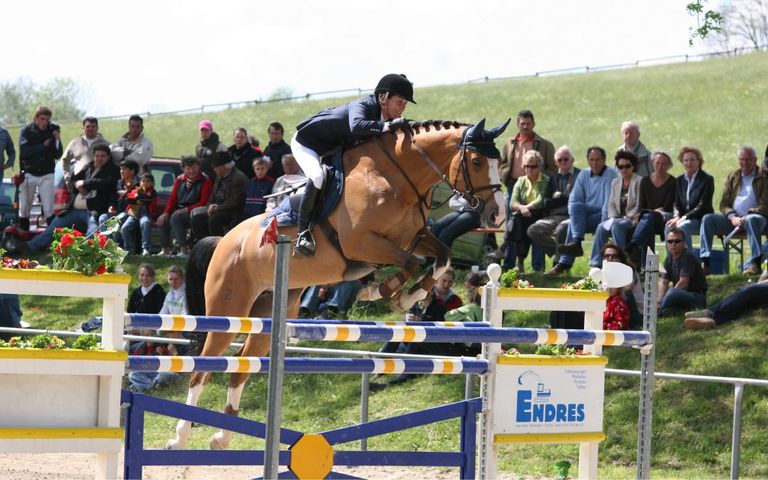 Live Stream - Großes Springturnier Isny-Rohrdorf - 2024 | Videos, Live Streams, Films and Shows ...