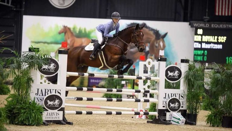 USHJA Hunter 3' (183/184) $200 Take2 Thoroughbred Hunter 3' - World ...