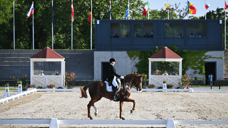 CDIYH - FEI Preliminary Test for 6-year old horses - CDI-W/CDI3*/CDI1 ...