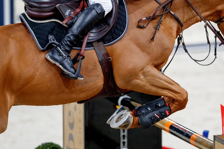 Live Stream - Bábolna - CSI2* - Memorial of TIBOR PETTKÓ-SZANDTNER ...