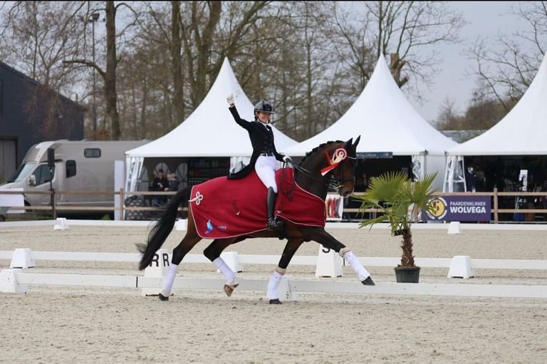 CDI1* Prix St. Georges - Top Dressage Tolbert (CDI3*) - 2024 | Videos ...