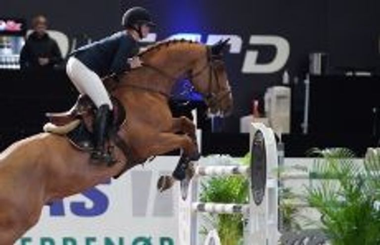 Ferd Comeback Cup LC:3 B-Final - Norwegian Horse Festival Lillestrøm ...