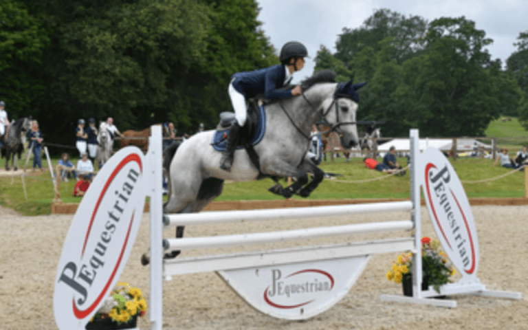 Blue Chip Pony Newcomers - Second Round - Bicton Summer Pony Premier ...