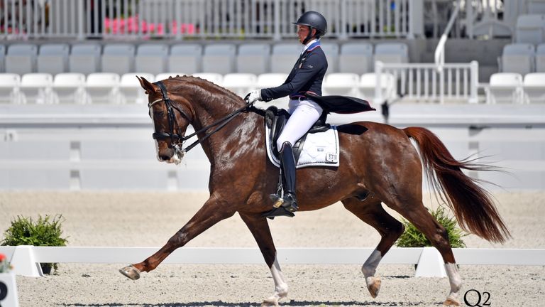 Live Stream - WEC Ocala Dressage IV - 2022 | Videos, Live Streams ...