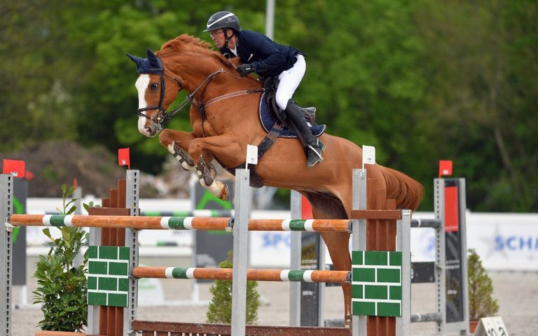 Live Stream - Großes Springturnier RFZV Babenhausen - 2023 | Videos, Live Streams, Films and ...