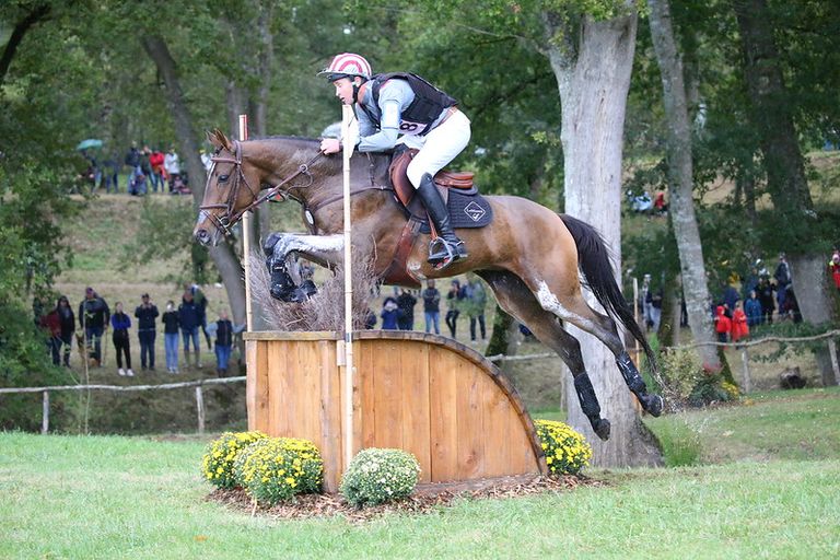 Live Stream - Mondial du Lion - FEI WBFSH Eventing World Breeding ...