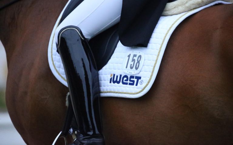 Live Stream - iWEST-Dressur-Cup 2025 - 2025 | Videos, Live Streams ...