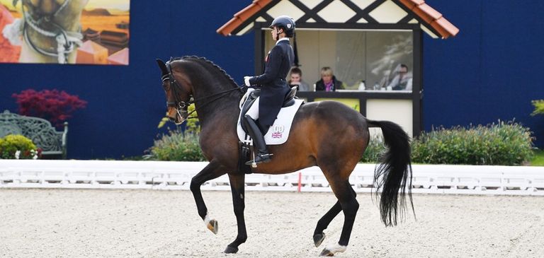 LeMieux Premier League FEI Grand Prix 2014 Direct Qualifier - The I.C.E ...