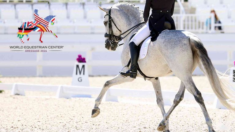 Live Stream - World Equestrian Center – Ocala October Dressage - 2024 ...