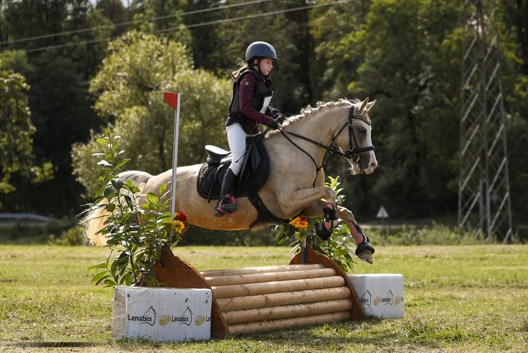 Live Stream - Državno prvenstvo v eventingu 2025 (CCN) – Grad ...