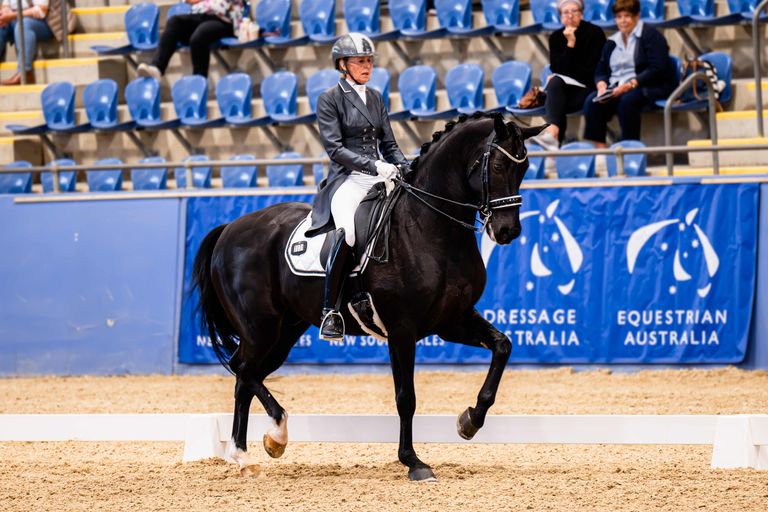 Live Stream - Australian Dressage Championships - 2025 | Videos, Live ...