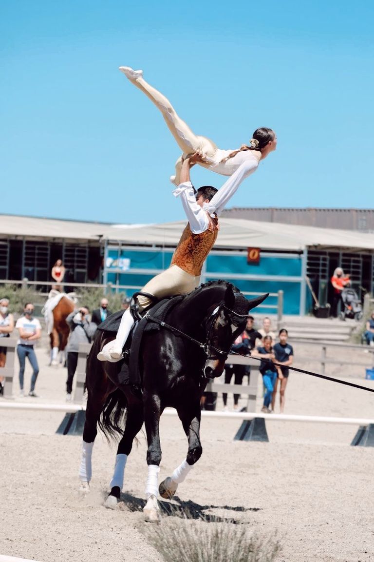 Individual – 1* Round 1 Free - CVI3* Pacific Cup - 2025 | Videos, Live ...