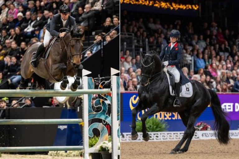 Live Stream - FEI World Cup™ Finals 2026 Jumping I Dressage - Fort ...