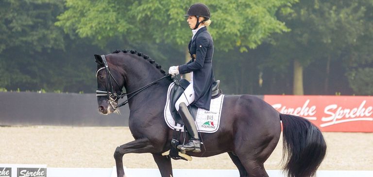 Live Stream - Elitestevne Dressur - Grenland Ryttersportsklubb - 2024 ...